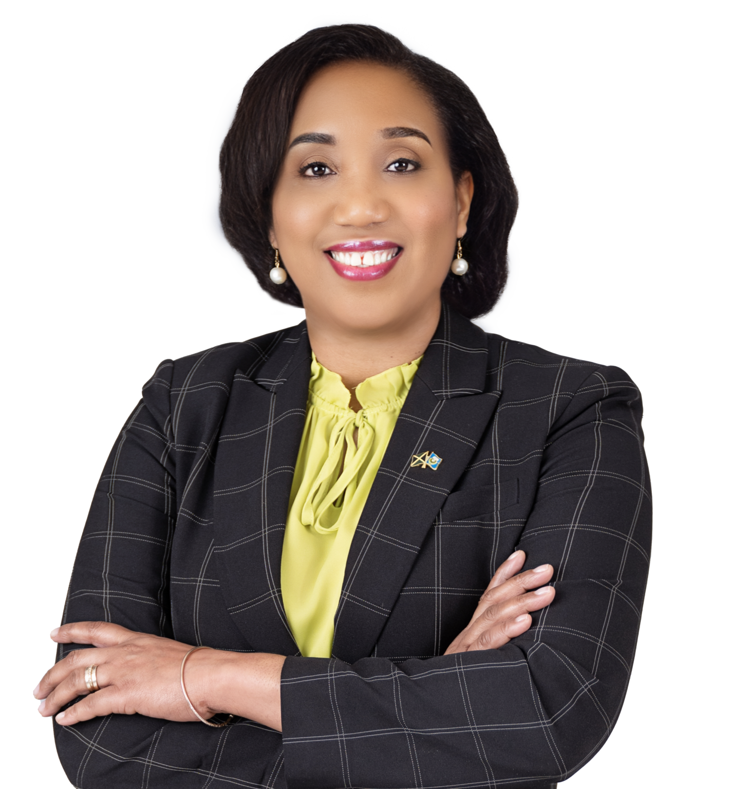 CEO/ Commissioner – Jamaica Customs Agency